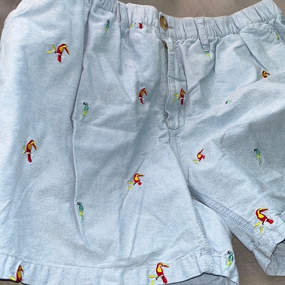 chubbies | Shorts | Chubbies Xxl Chirp Vibes | Poshmark